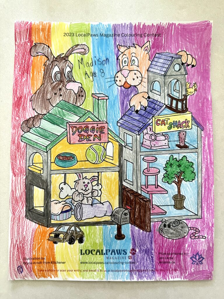 Colouring Contest - LocalPaws