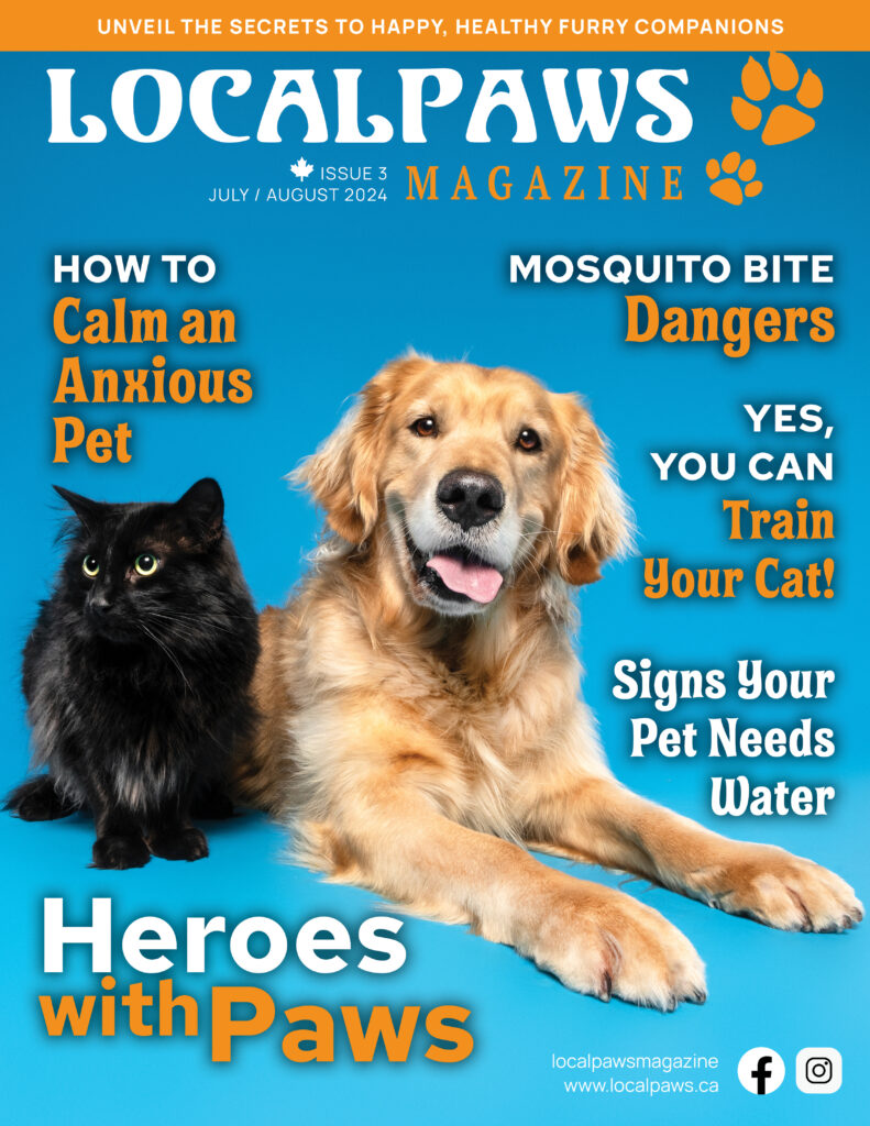 Issue 3 - LocalPaws