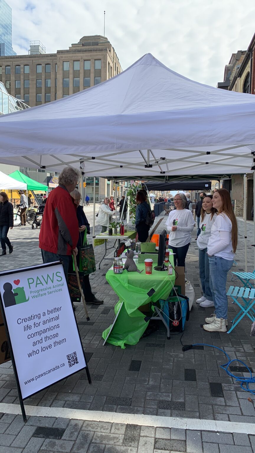 PAWS: Improving Access to Care for Pets - LocalPaws